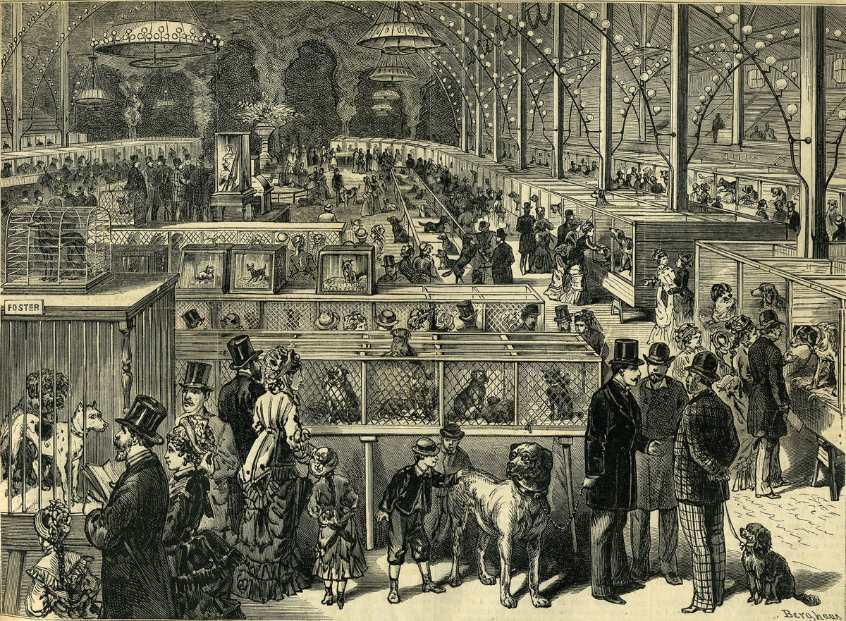 Today is National Coconut Cream Pie Day – Kat Mango