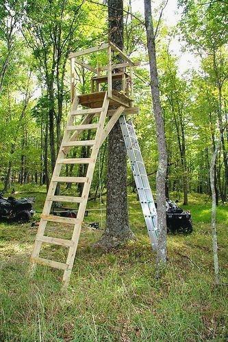 Pictures Menards Tree Stands – Kat Mango